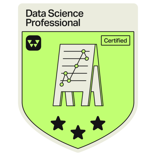 Data Science Professional - Credly
