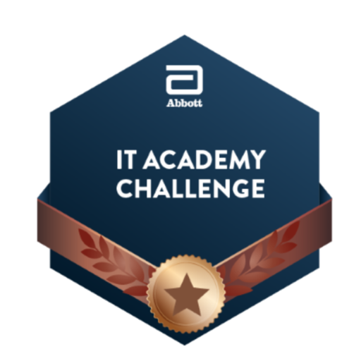 IT Academy - Bronze - Credly