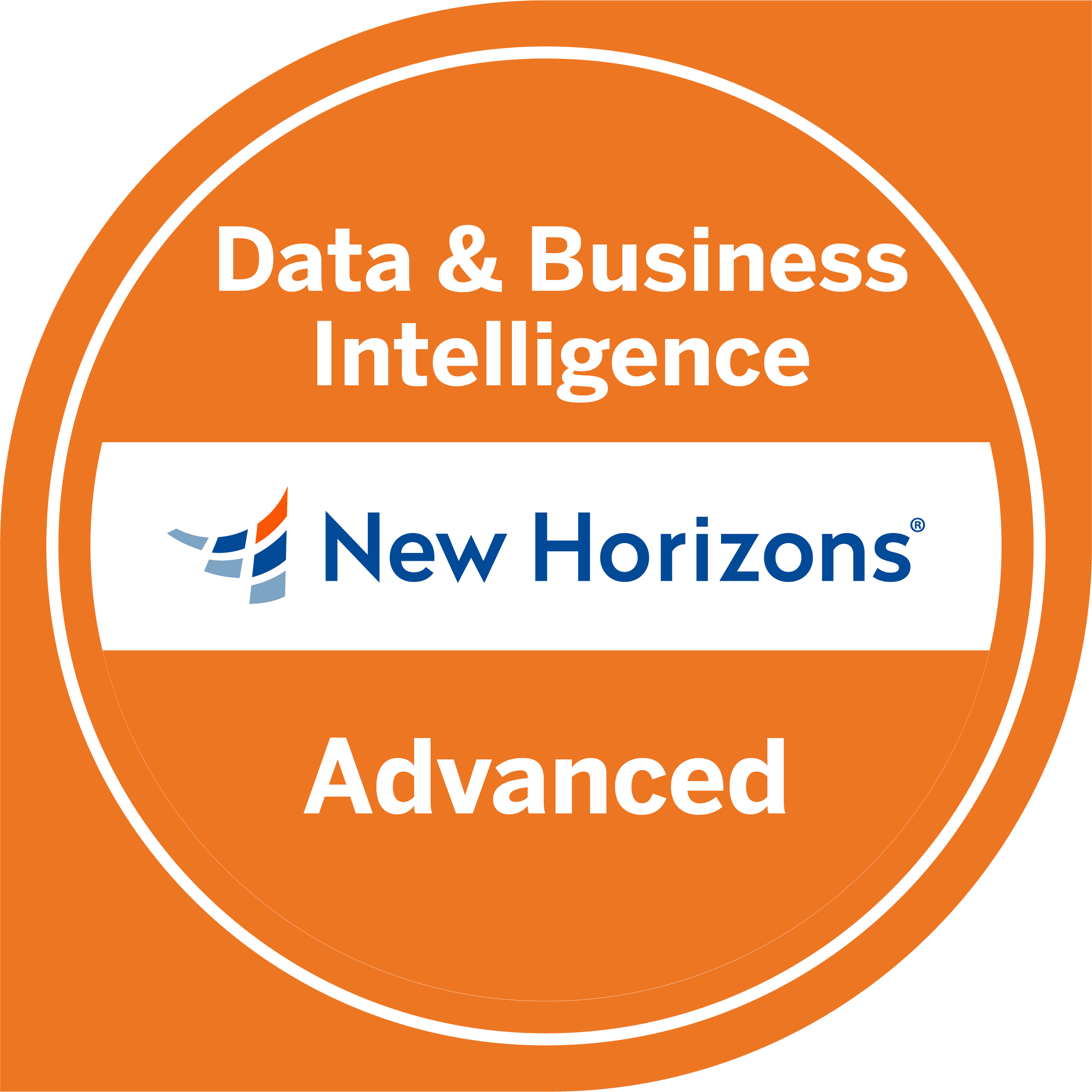 BACP02 Certified Business Analysis Professional CBAP Exam