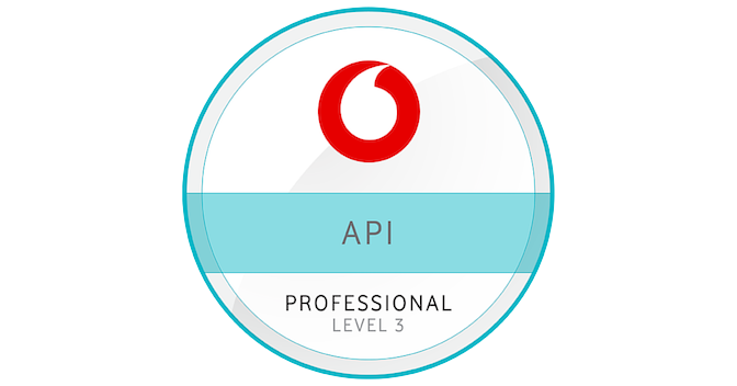 API Professional - Credly
