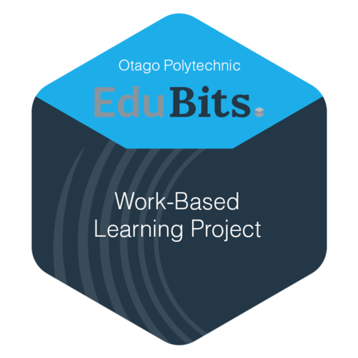 Work-Based Learning Project - Credly