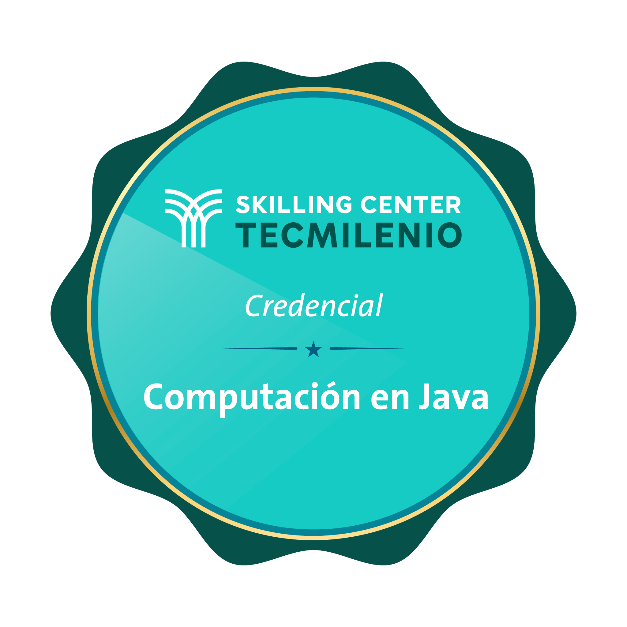 Credencial Computación en Java - Credly