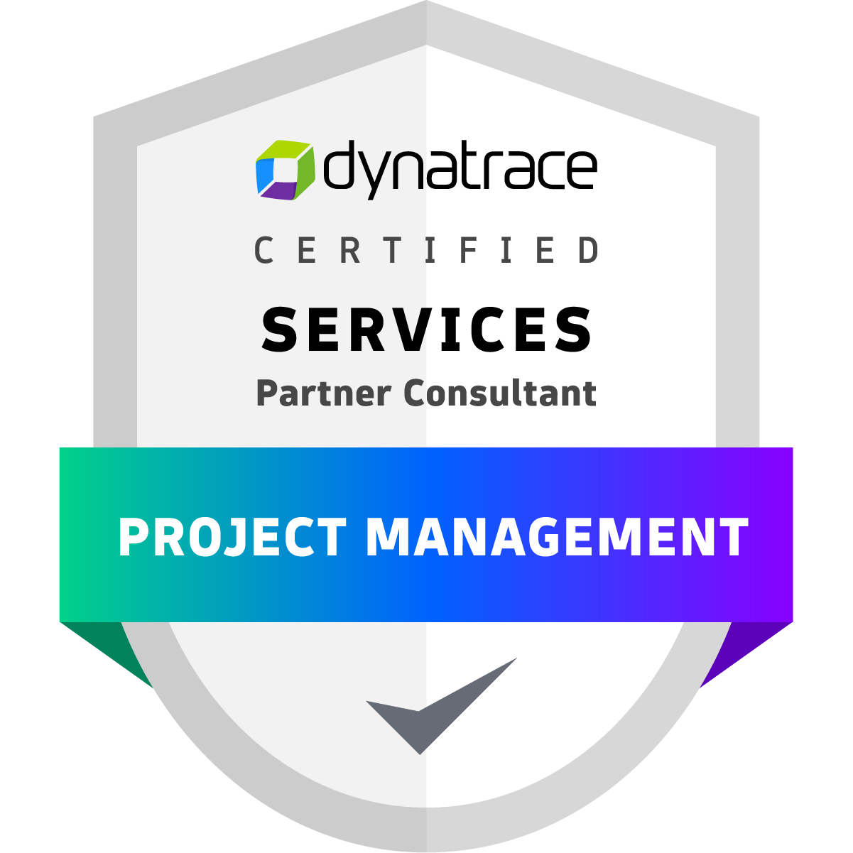 Partner Services Project Management Certification - Credly