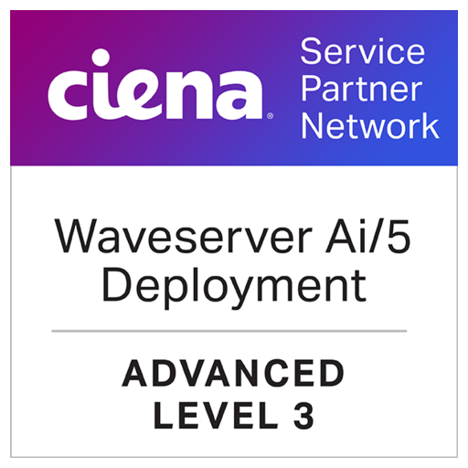 Service Partner Network - WSAi/5 Deployment Level 3 - Credly