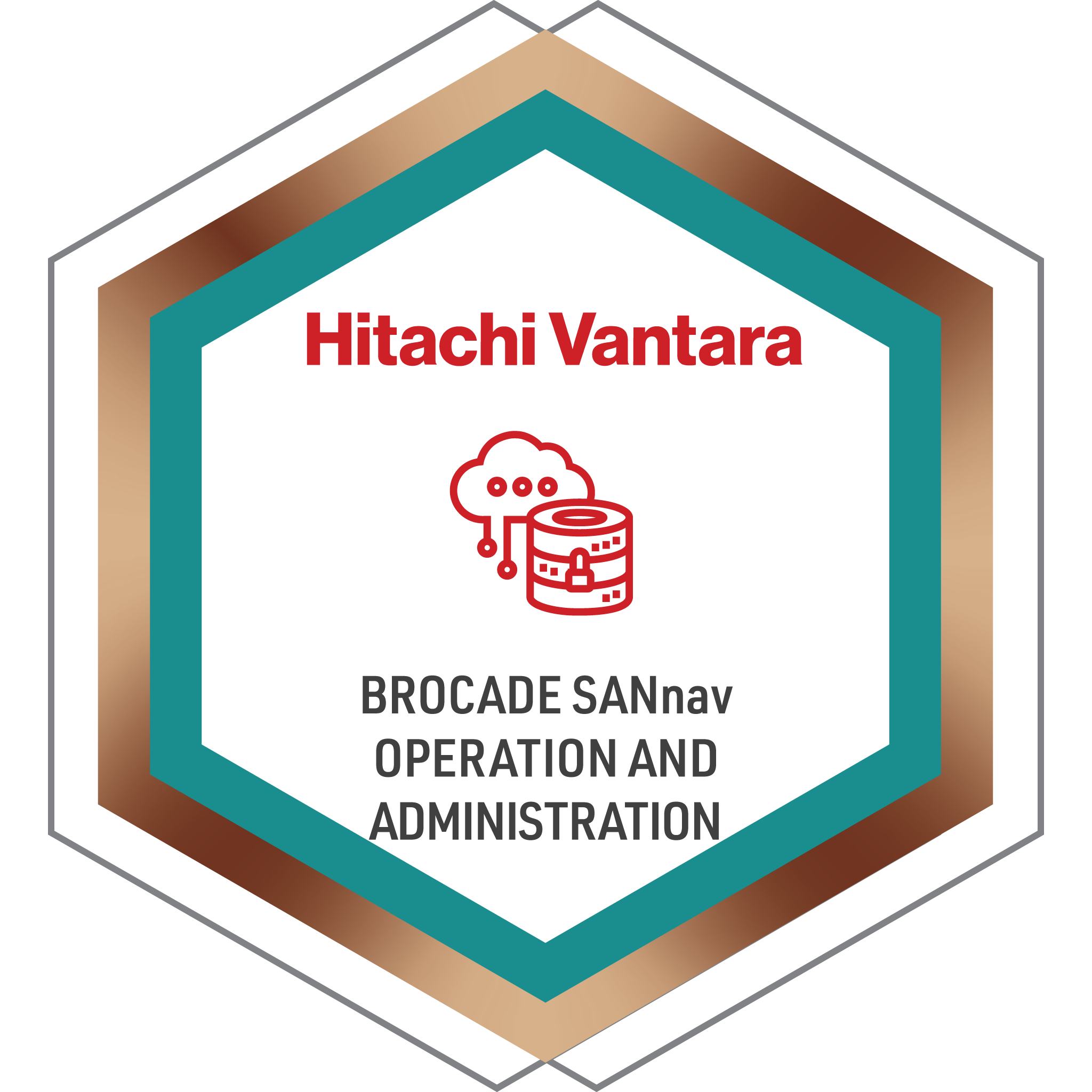 Brocade SANnav Management Portal software operation and administration ...