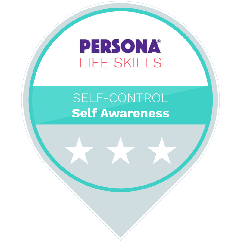 Persona Life Skills: Life Skill 22 – Self Awareness: Challenge Level ...