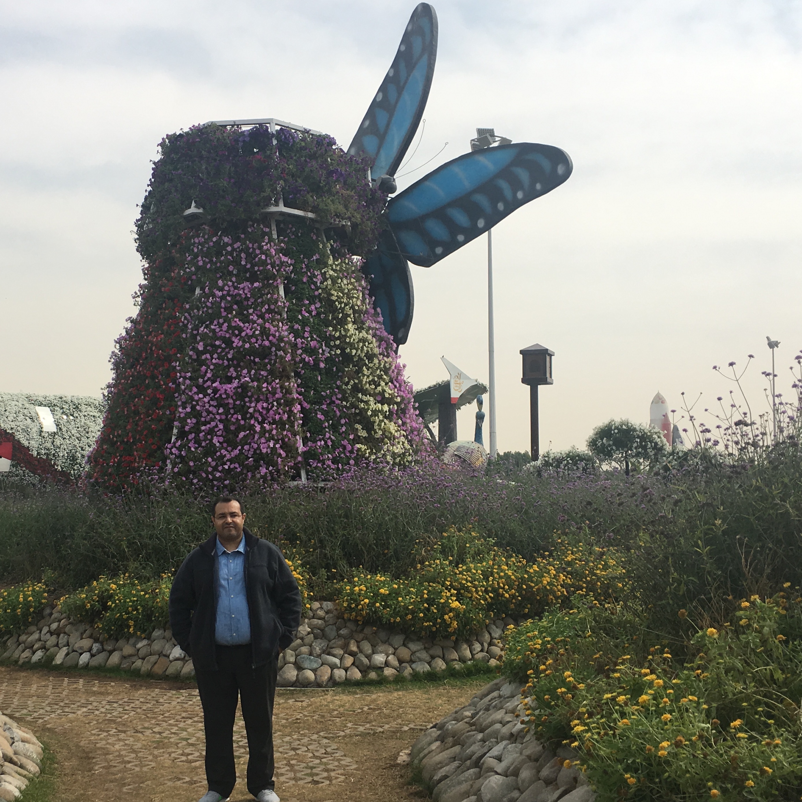 SAP Certified Associate - Design Thinking - Credly