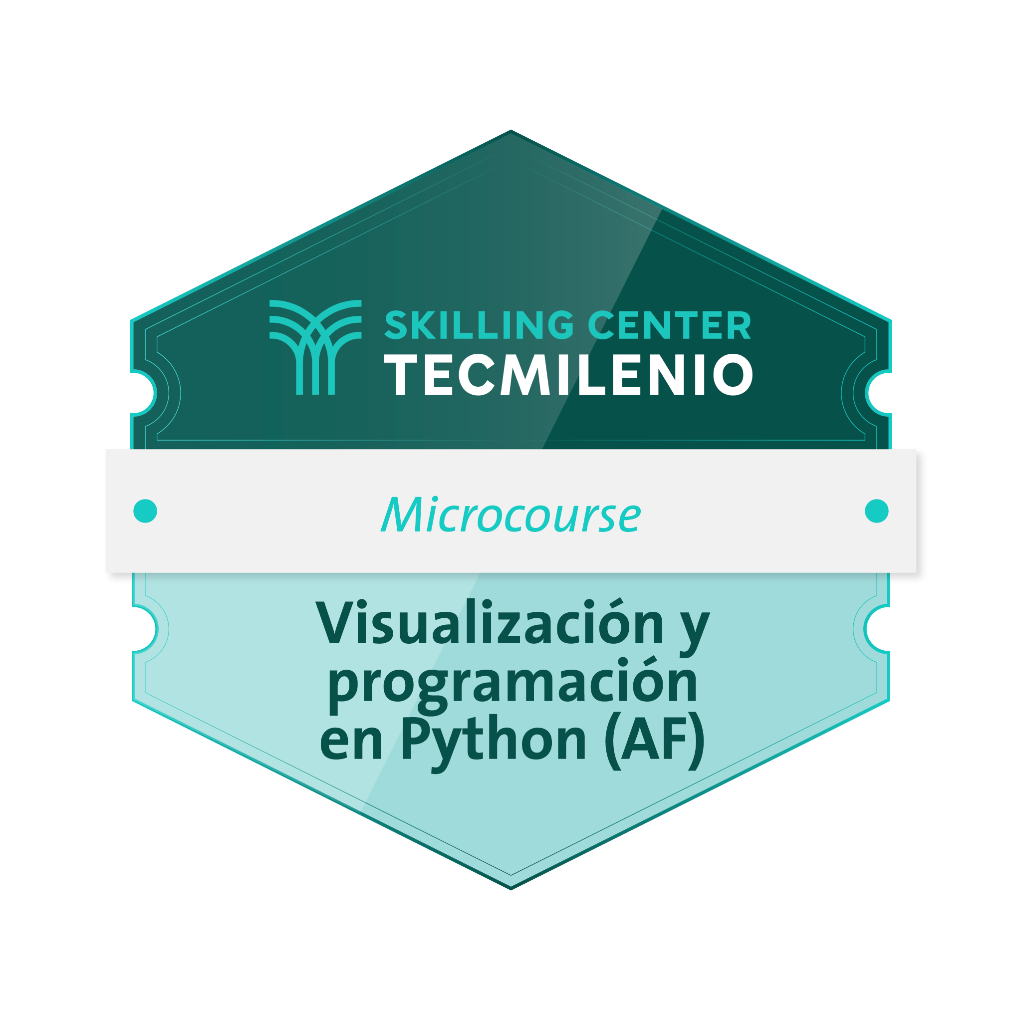 Microcourse Visualización y programación en Python (AF) - Credly