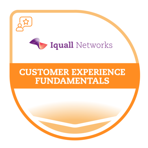 Customer Experience Fundamentals - Credly
