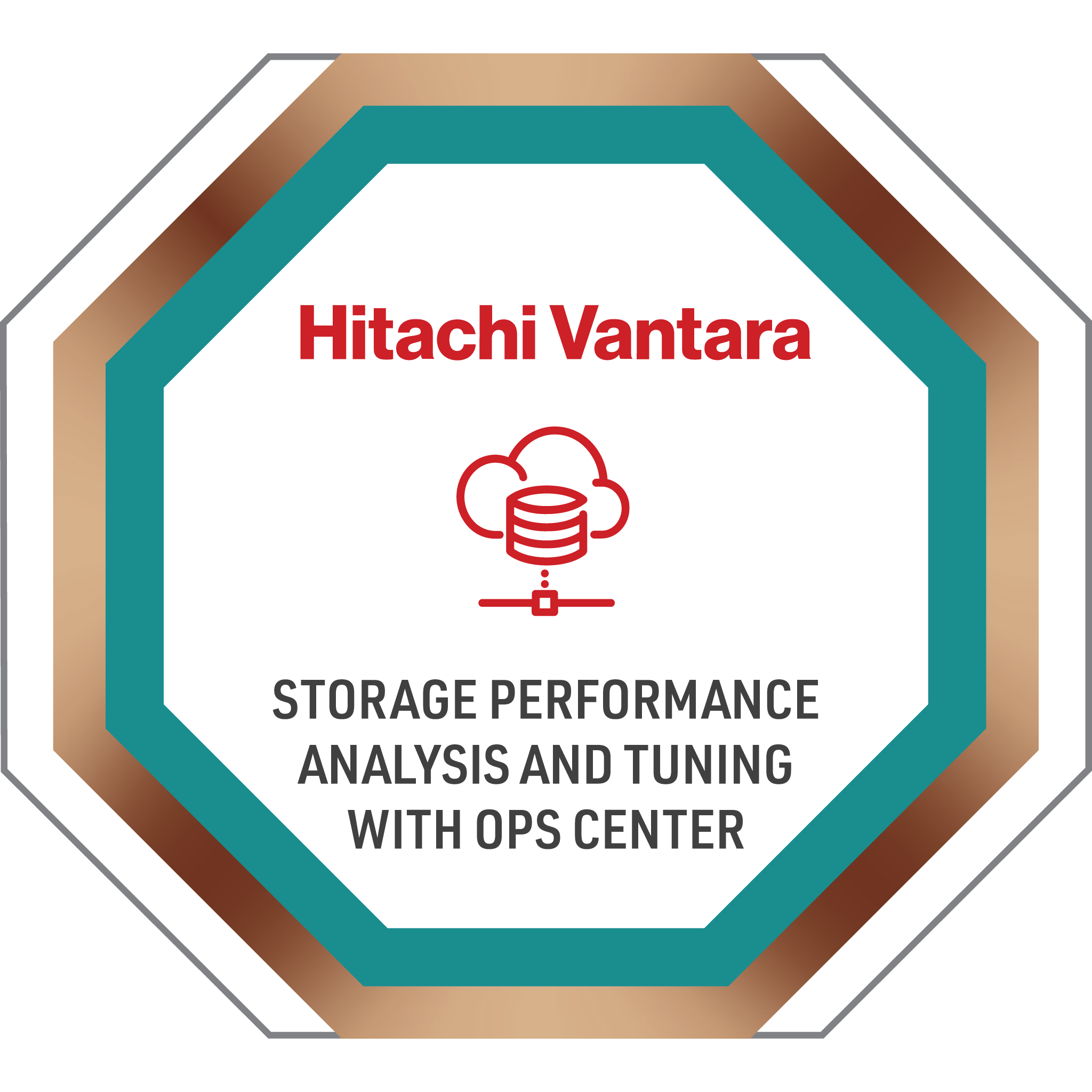 Hitachi Storage Performance Analysis and Tuning with Hitachi Ops Center ...