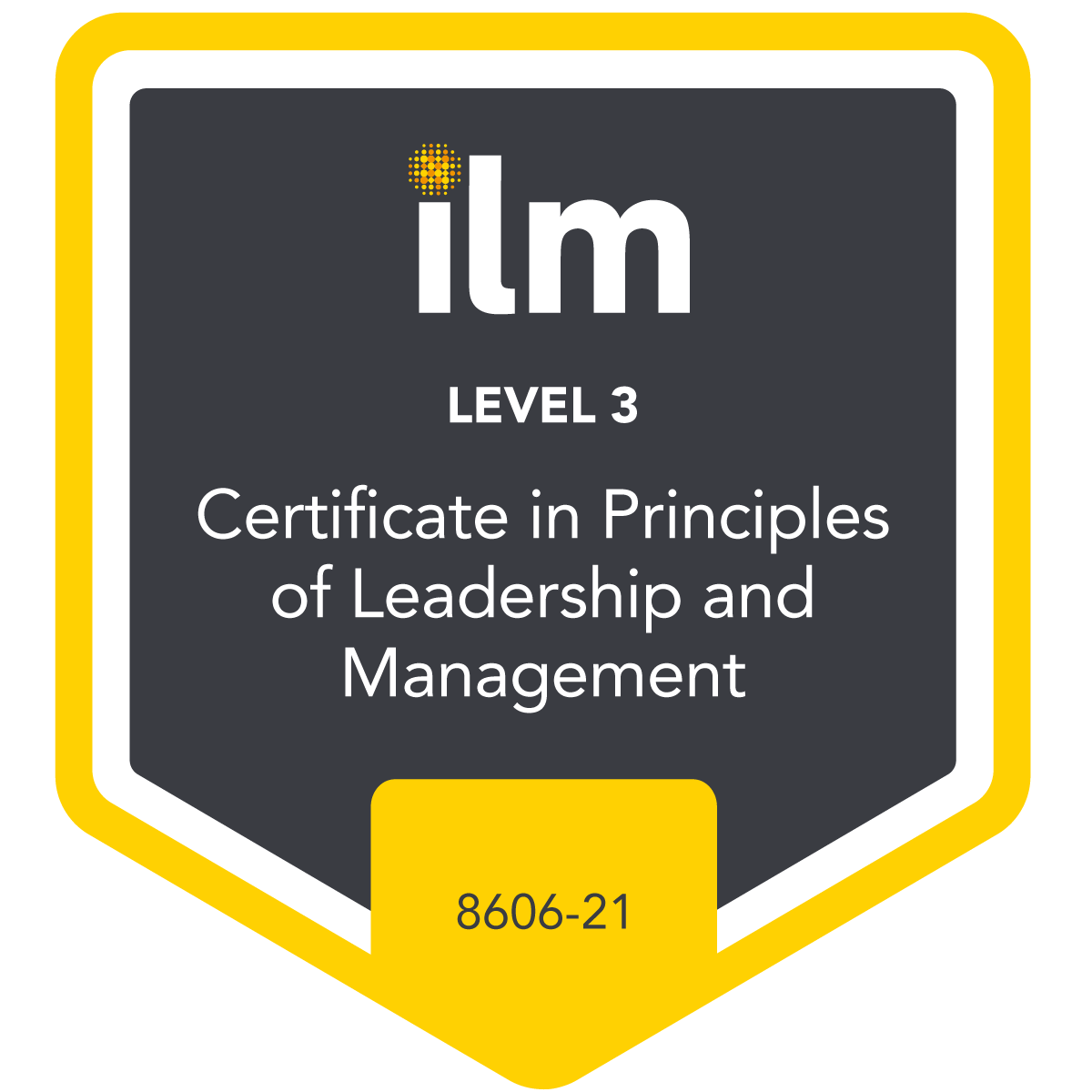 Level 3 Certificate In Principles Of Leadership And Management 8606 Level 3 Certificate In Principles Of Leadership And Management 8606