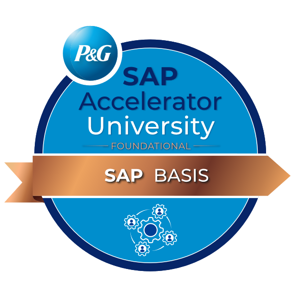 SAP Basis Foundations At P G Credly