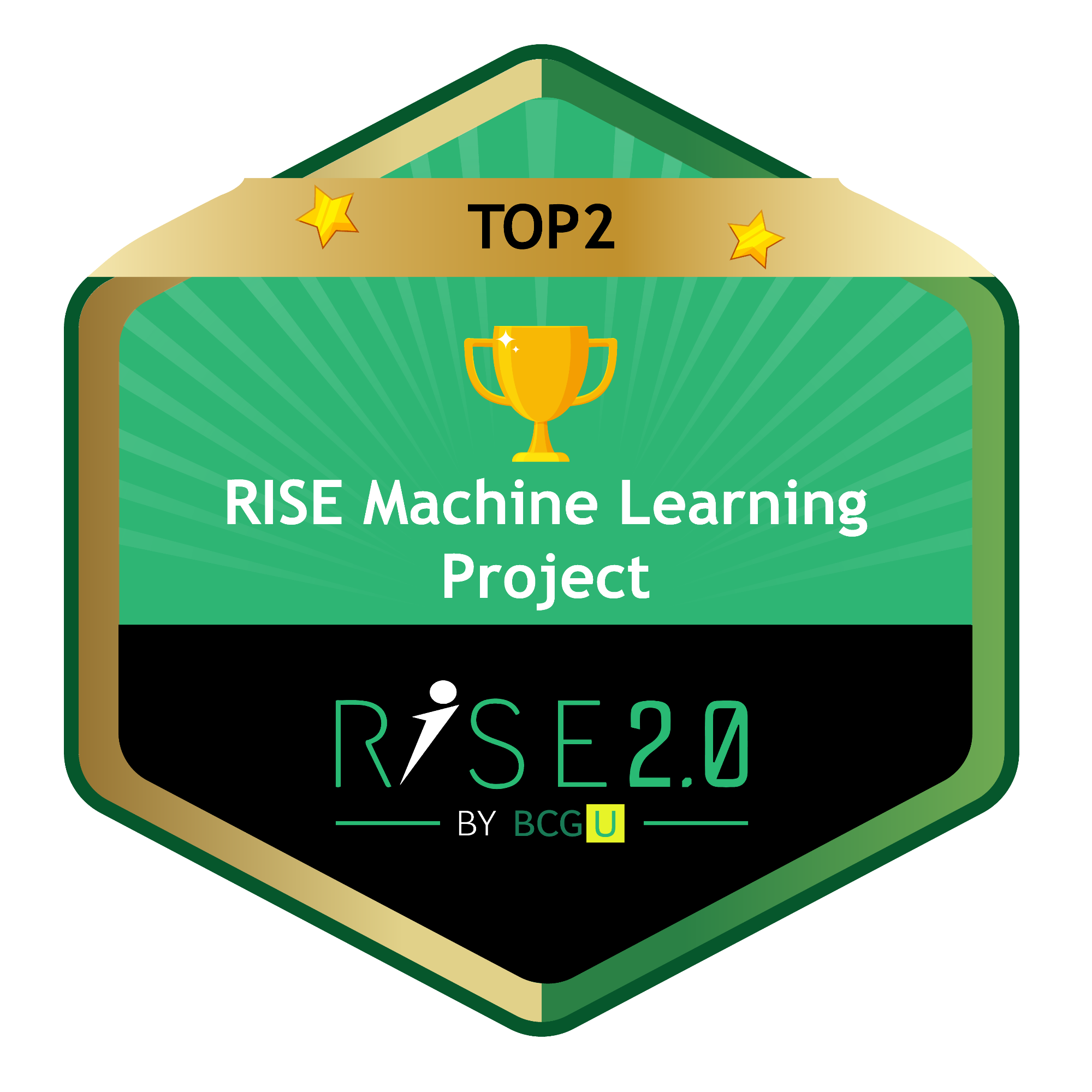 BCG RISE Top 2 Machine Learning - Credly