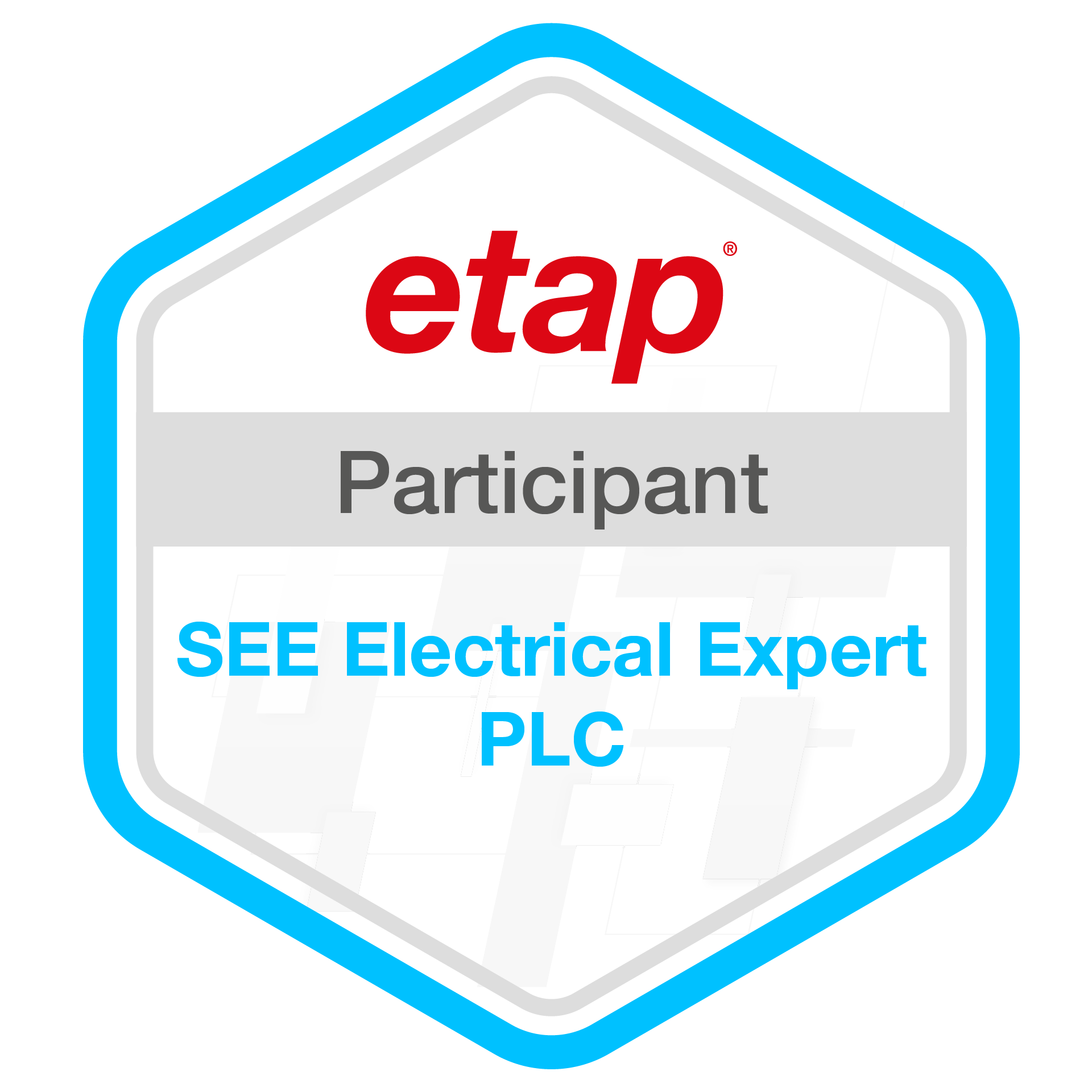 SEE Electrical EXPERT PLC Controllers (EN) - Credly