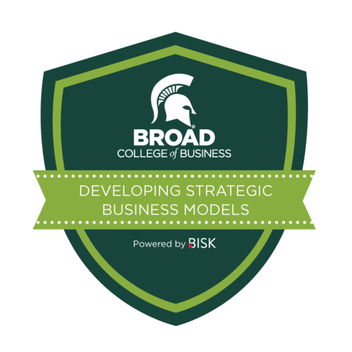 Developing Strategic Business Models - Credly