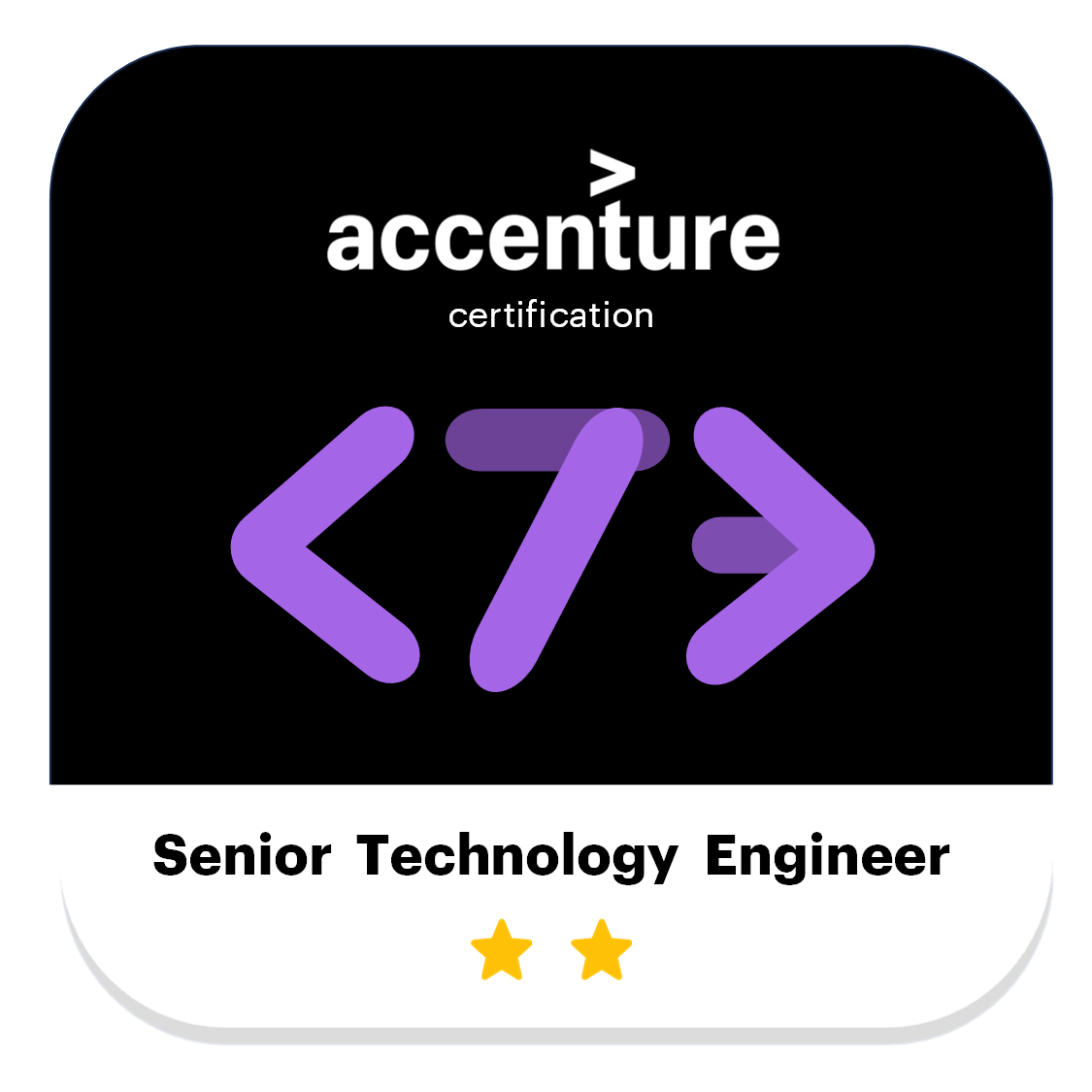 Senior Technology Engineer Certification - Credly