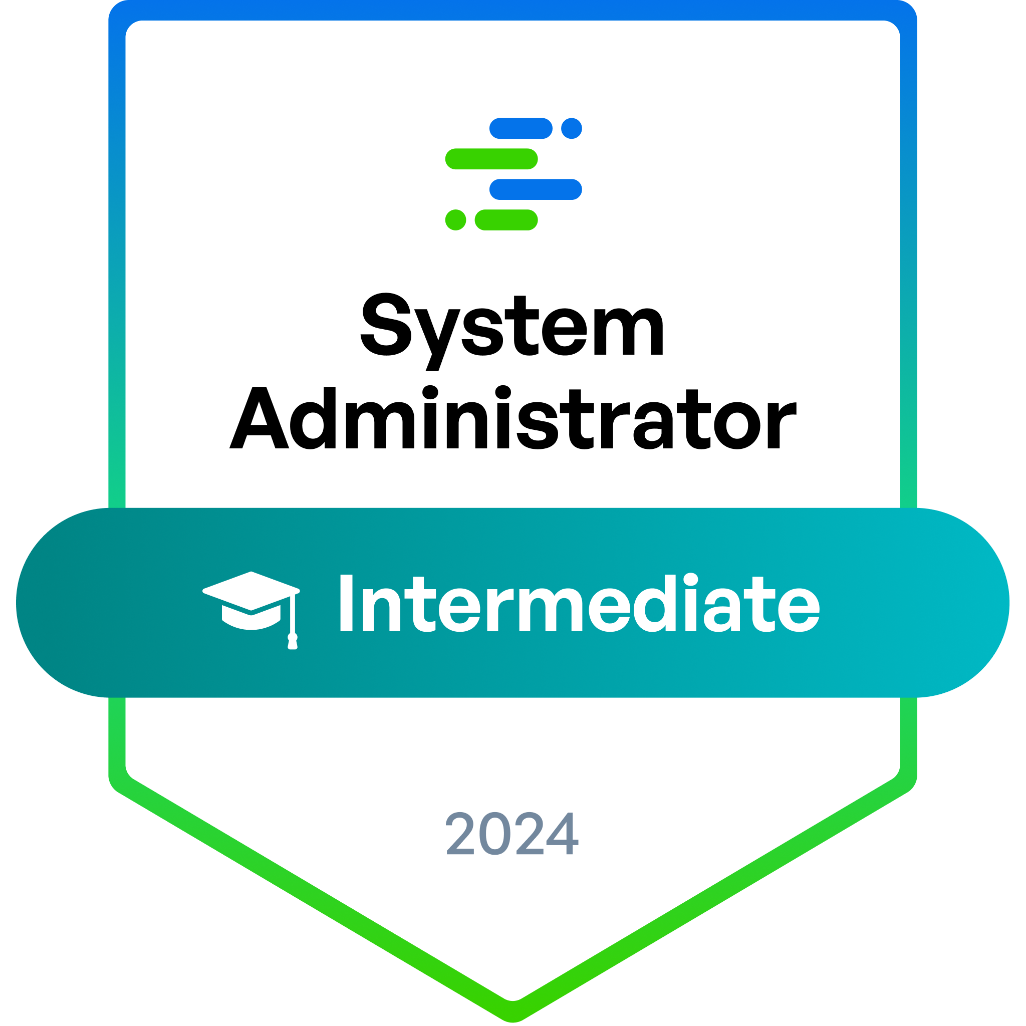 PIM/MDM System Administrator - 2024 - Credly