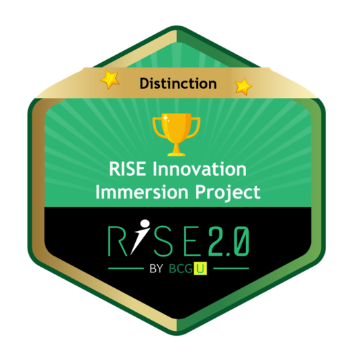 Bcg Rise Distinction Innovation Immersion Project Credly