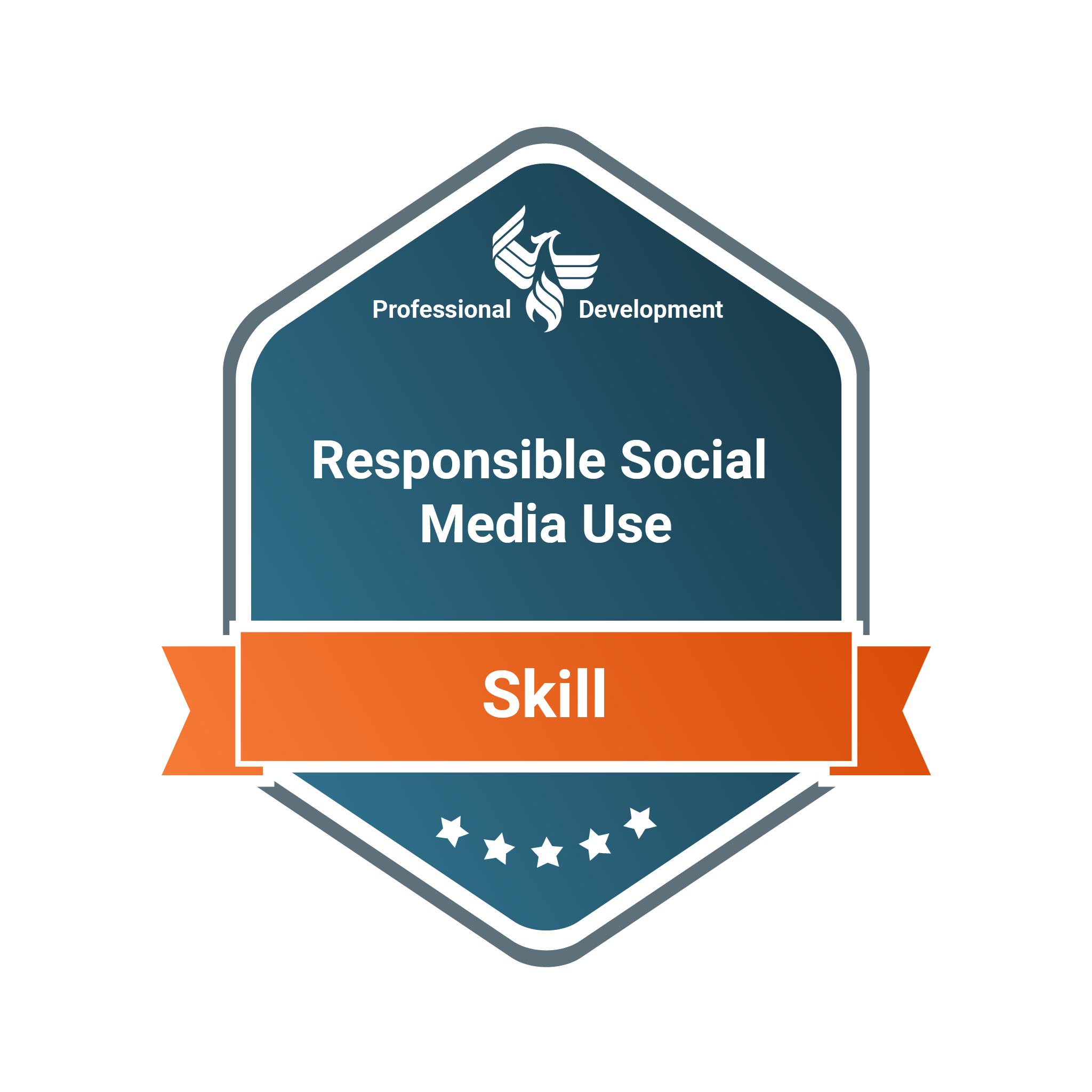 Responsible Social Media Use - Credly