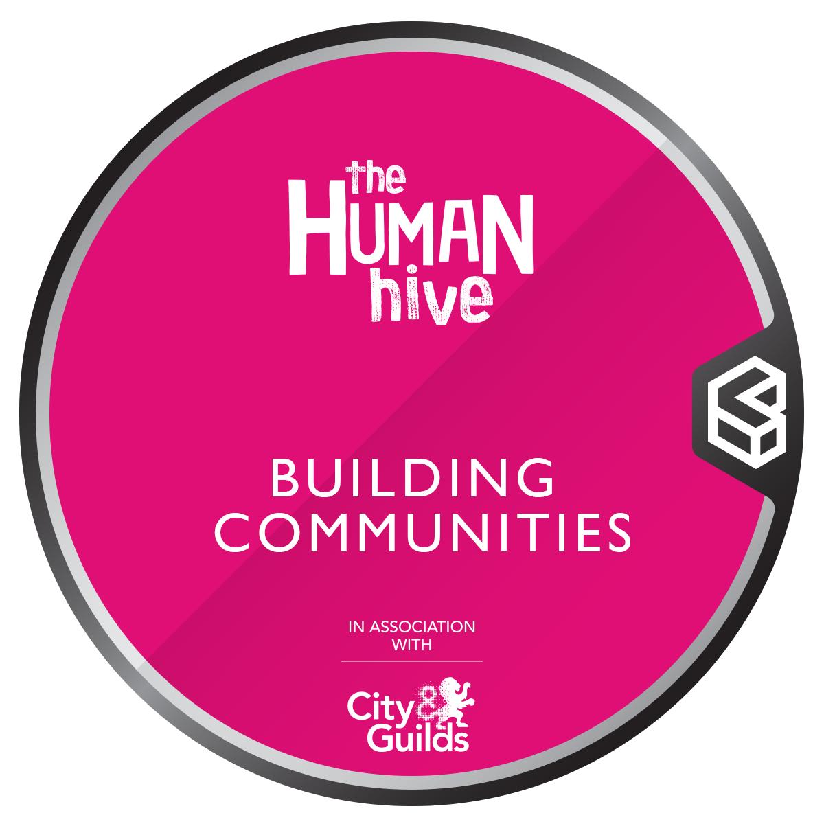 Taking Action delivered by The Human Hive - Credly