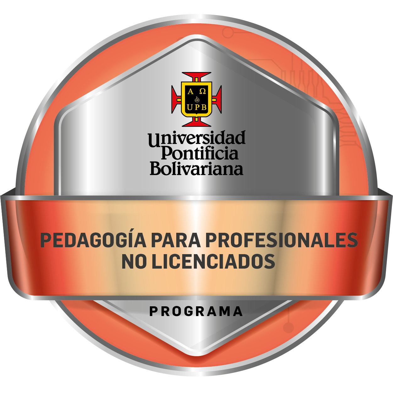 Programa Pedagogía para profesionales no licenciados - Credly