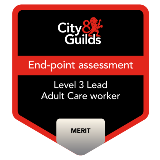 9042-12 Level 3 Lead Adult Care worker - Merit - Credly