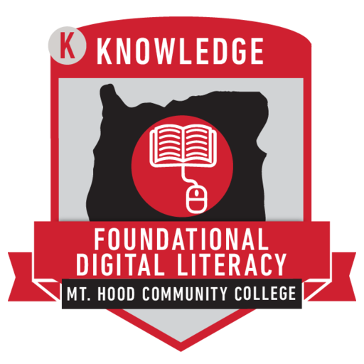 Foundational Digital Literacy - Credly