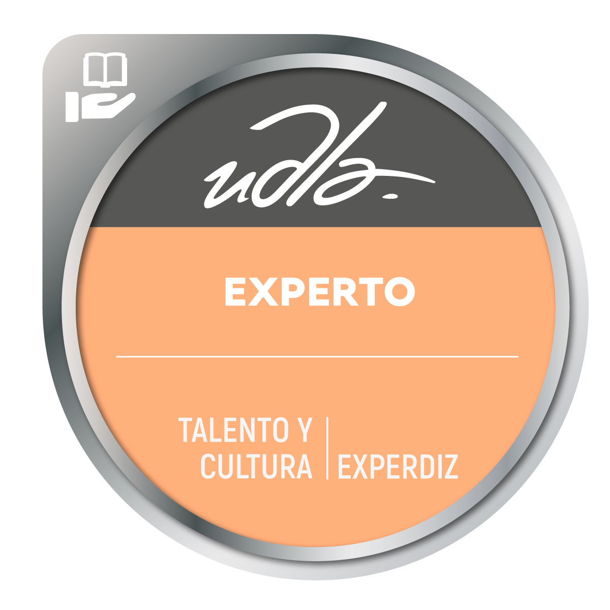 Experto - Credly