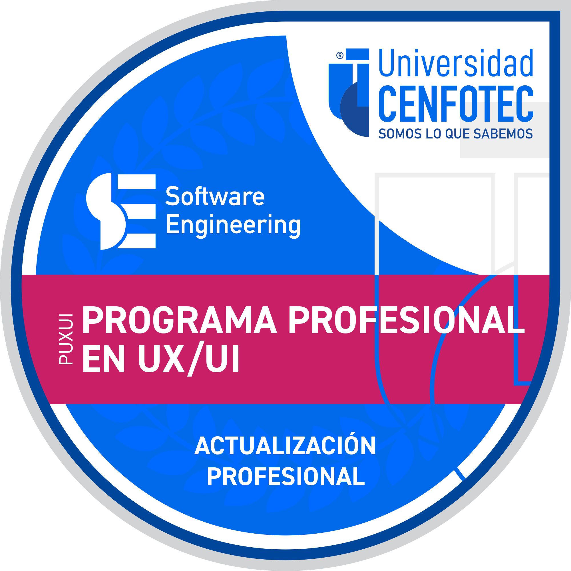 Programa Profesional en UX/UI - Credly