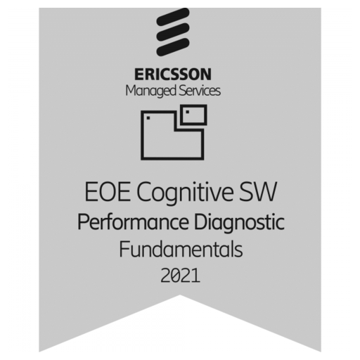 EOE Cognitive SW Performance Diagnostic Fundamental - Credly