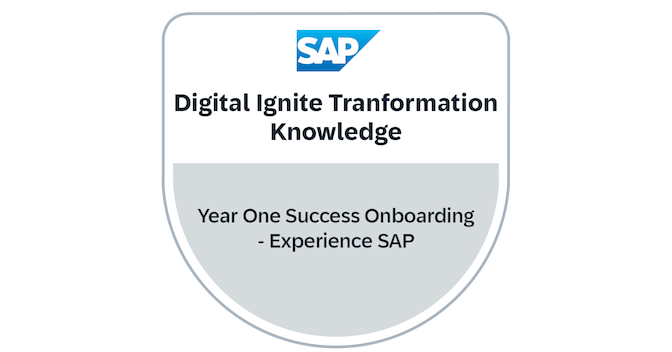 Drive Ignite Transformation Knowledge - Year One Success Onboarding ...