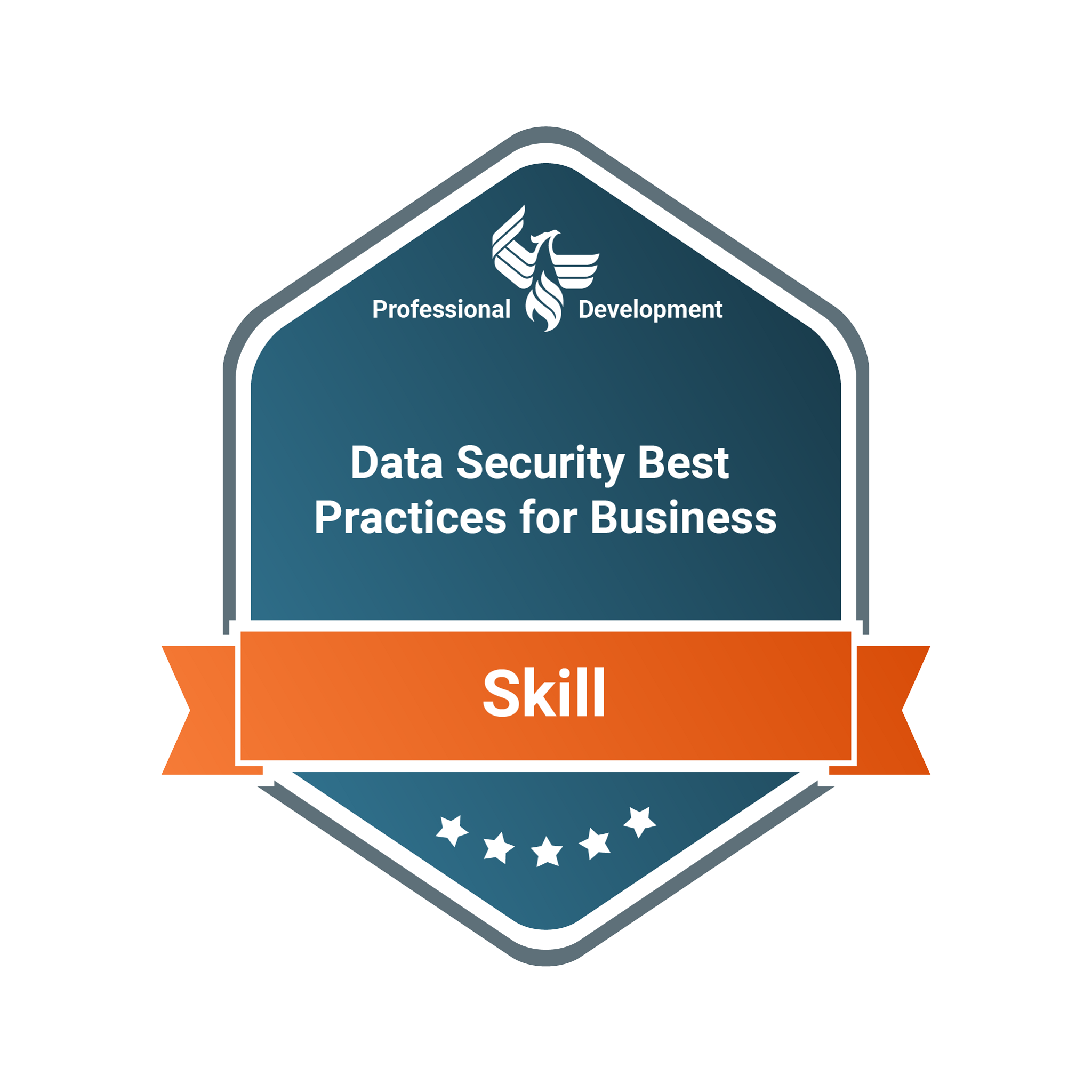 Data Security Best Practices for Business - Credly