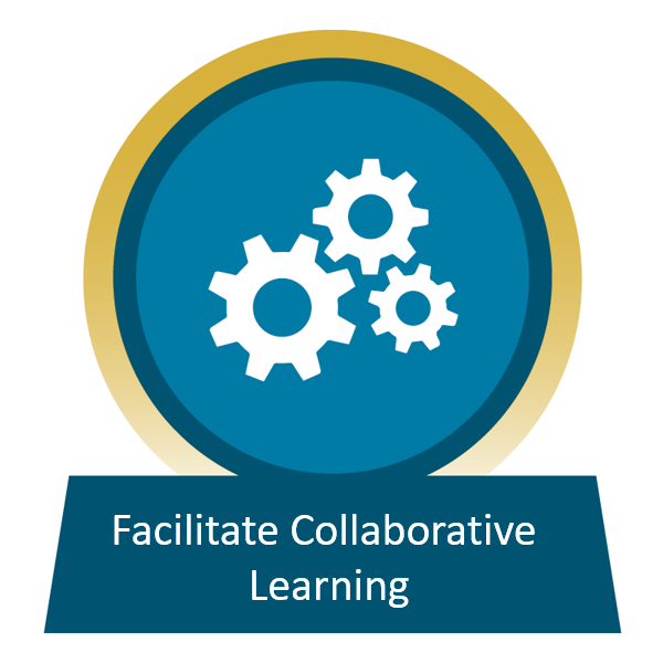 Facilitate Collaborative Learning - Mauri Ora/Modelling - Credly