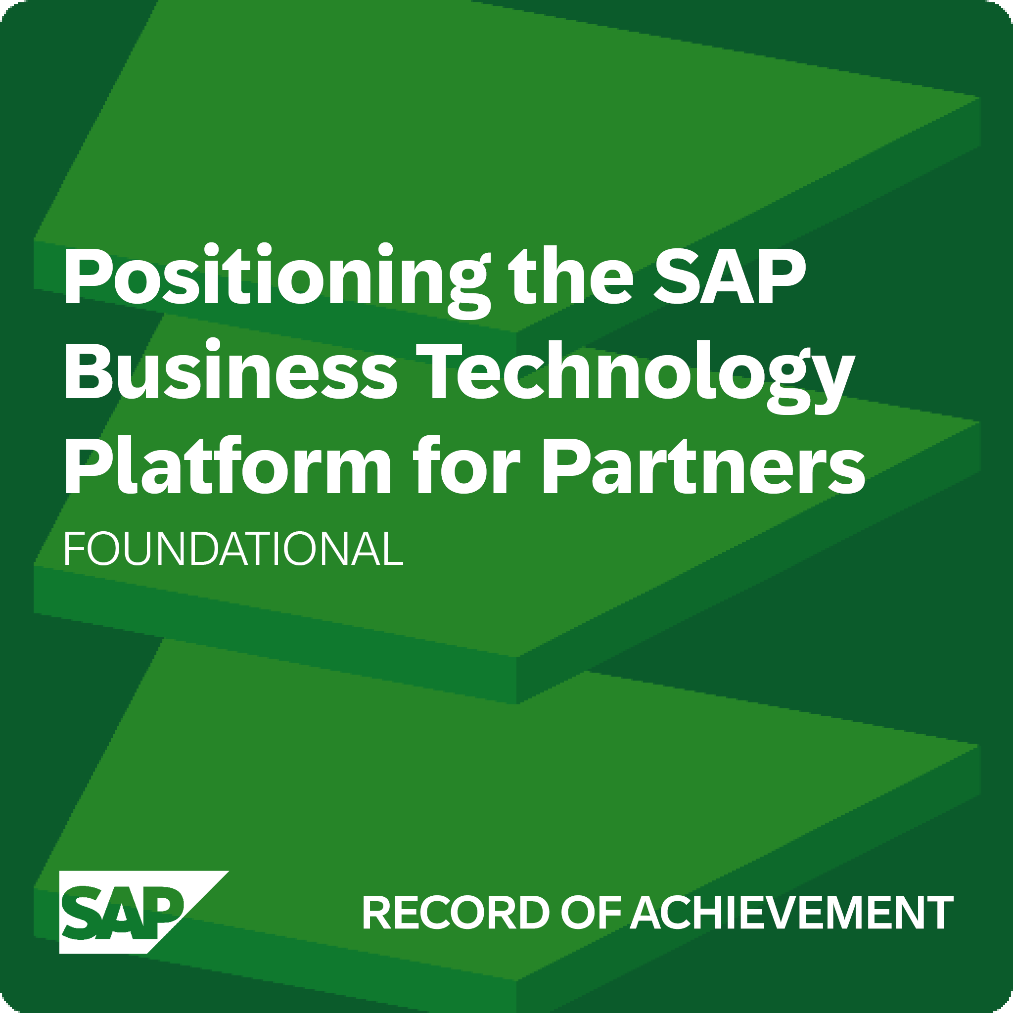 Positioning the SAP Business Technology Platform for Partners - Record ...