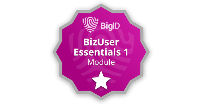 BigID BizUser Essentials 1 Module - Credly