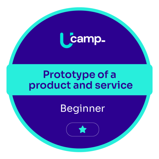 Prototype of a product and service - Credly