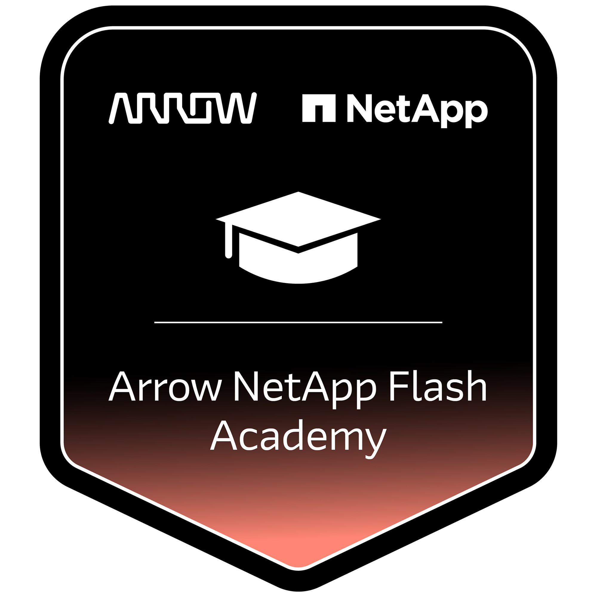 Arrow NetApp Flash Academy - Credly