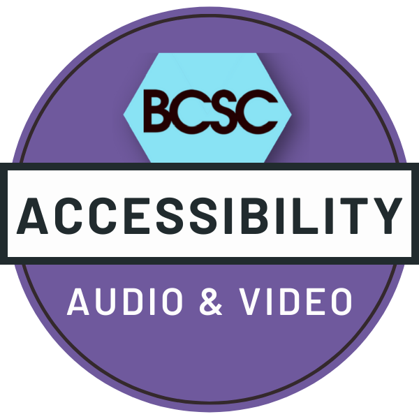 Audio & Video Accessibility - Credly