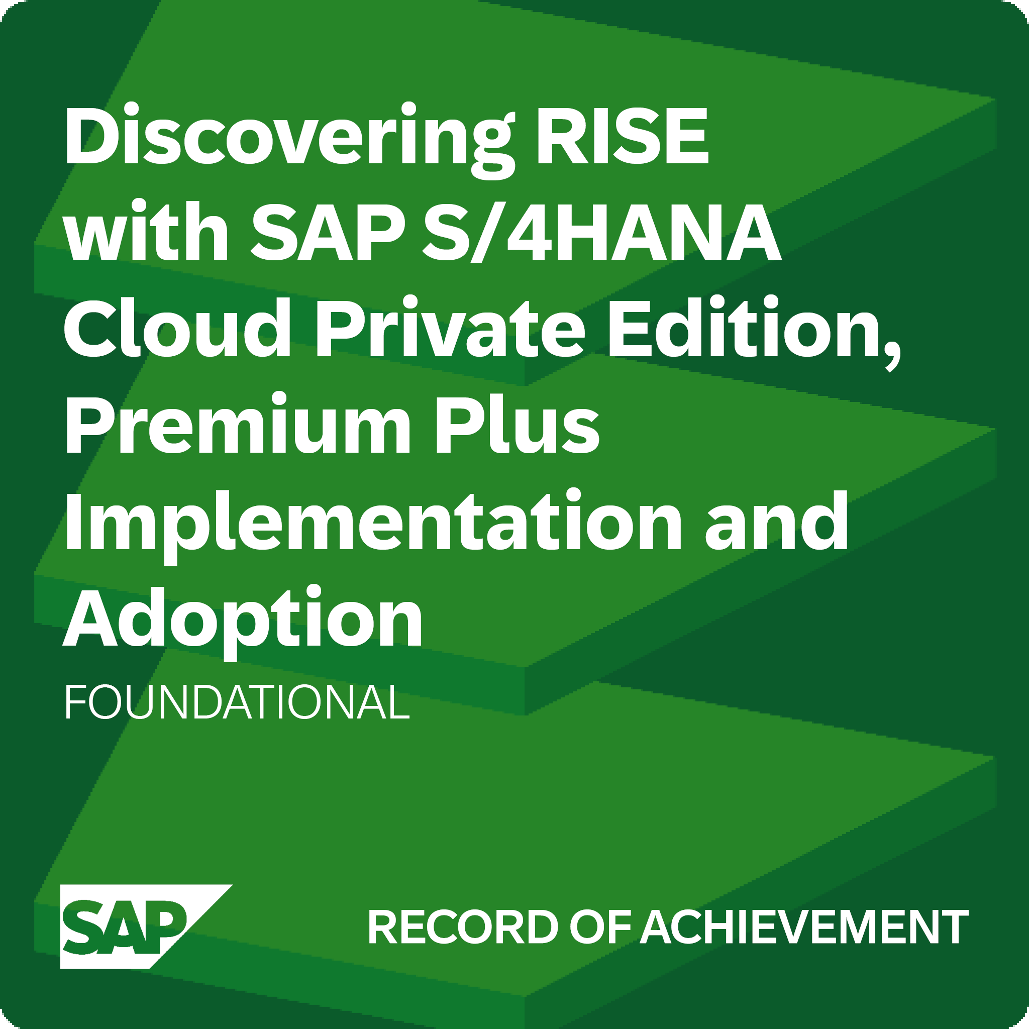 Discovering RISE with SAP S/4HANA Cloud Private Edition, Premium Plus Implementation and ...