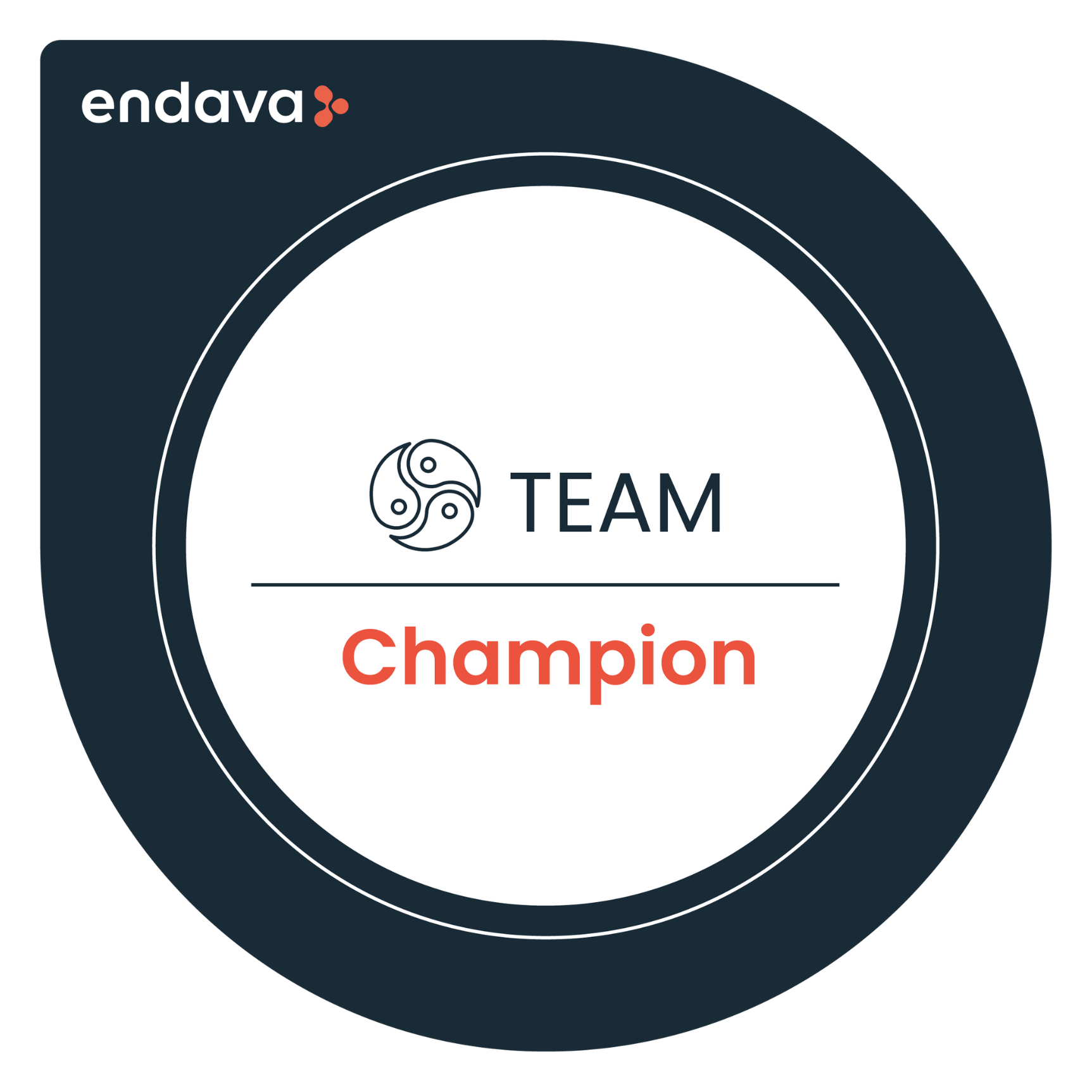 TEAM Champion - Credly