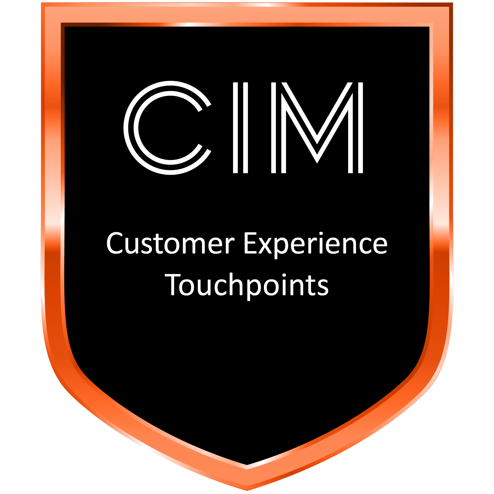 Customer Experience Touchpoints - Credly