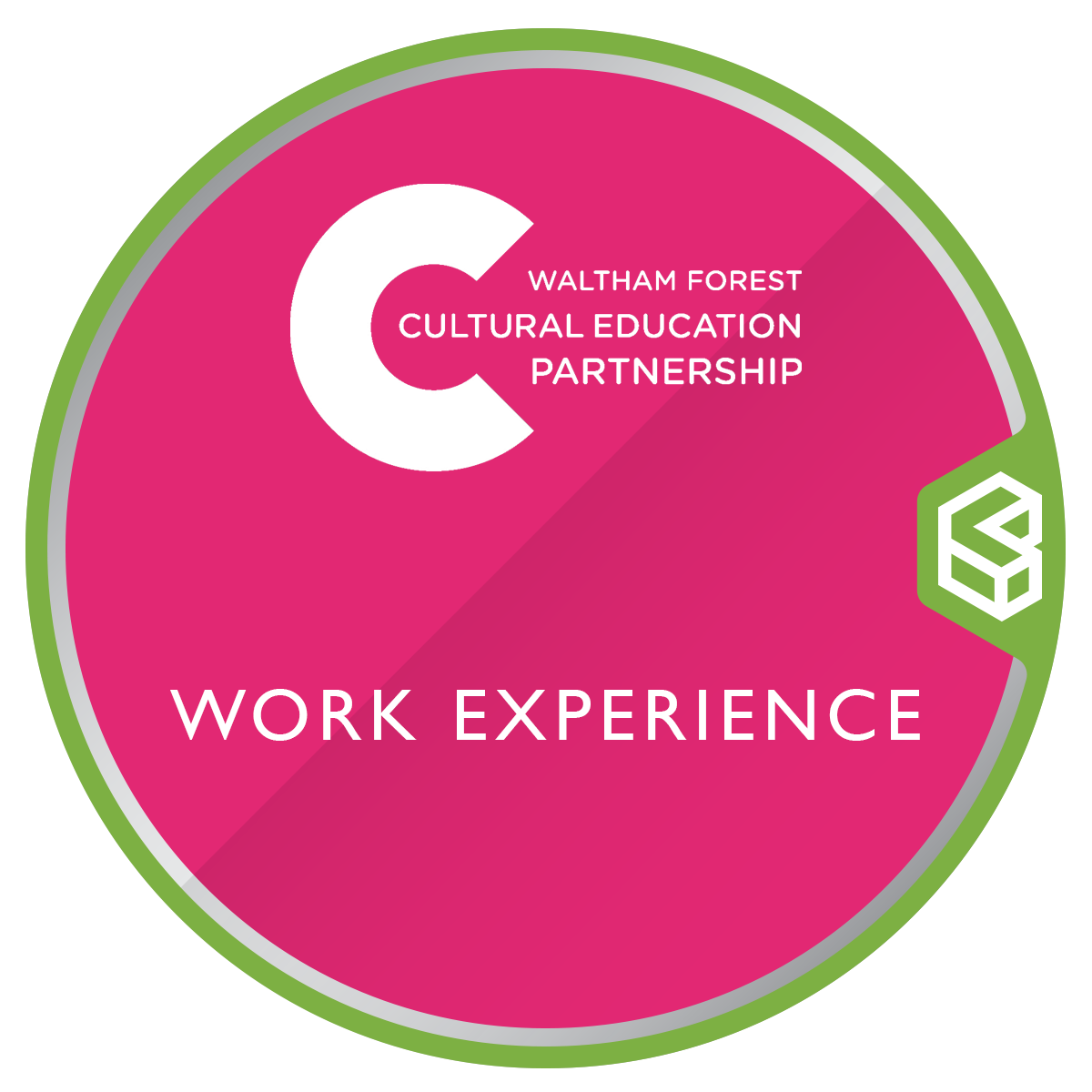 Work Experience Workshop Facilitation Credly Work Experience Workshop Facilitation Credly