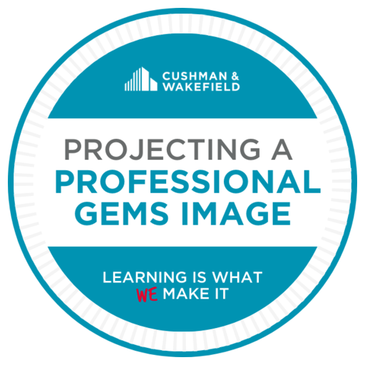 Projecting a Professional GEMS Image - Credly