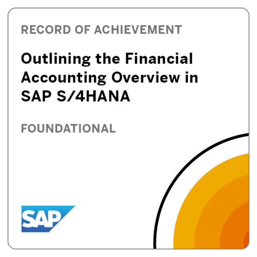 Outlining the Financial Accounting Overview in SAP S/4HANA - Record of ...