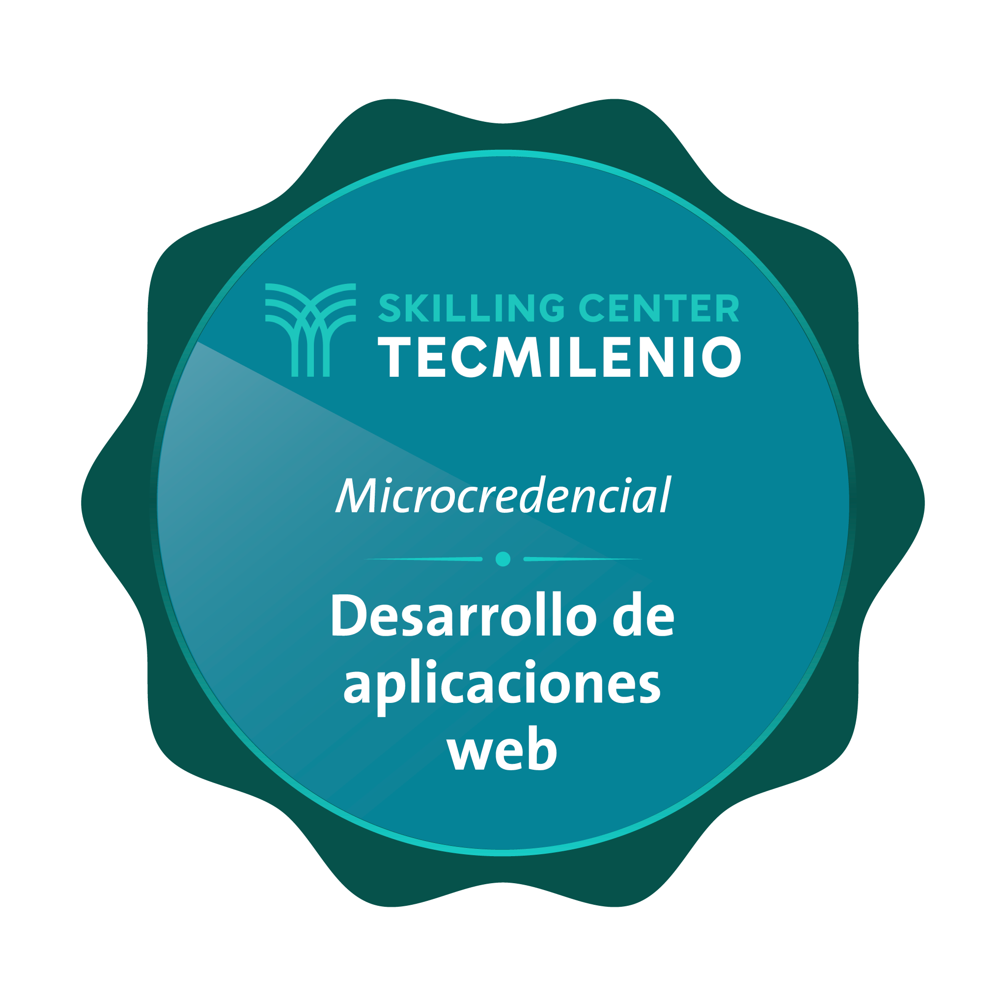 Microcredencial Desarrollo de aplicaciones web - Credly