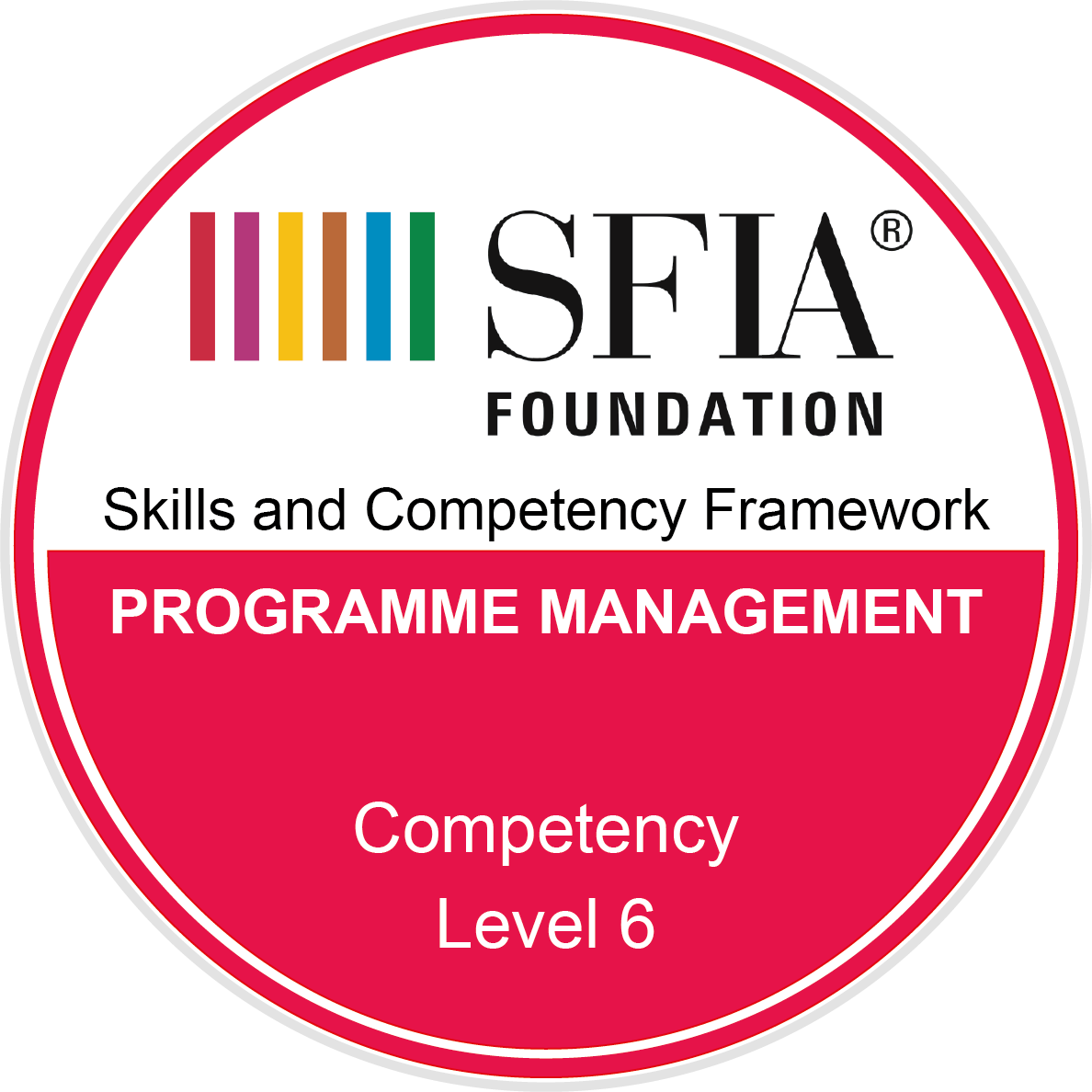 Programme management - Competency - Level 6 - Credly