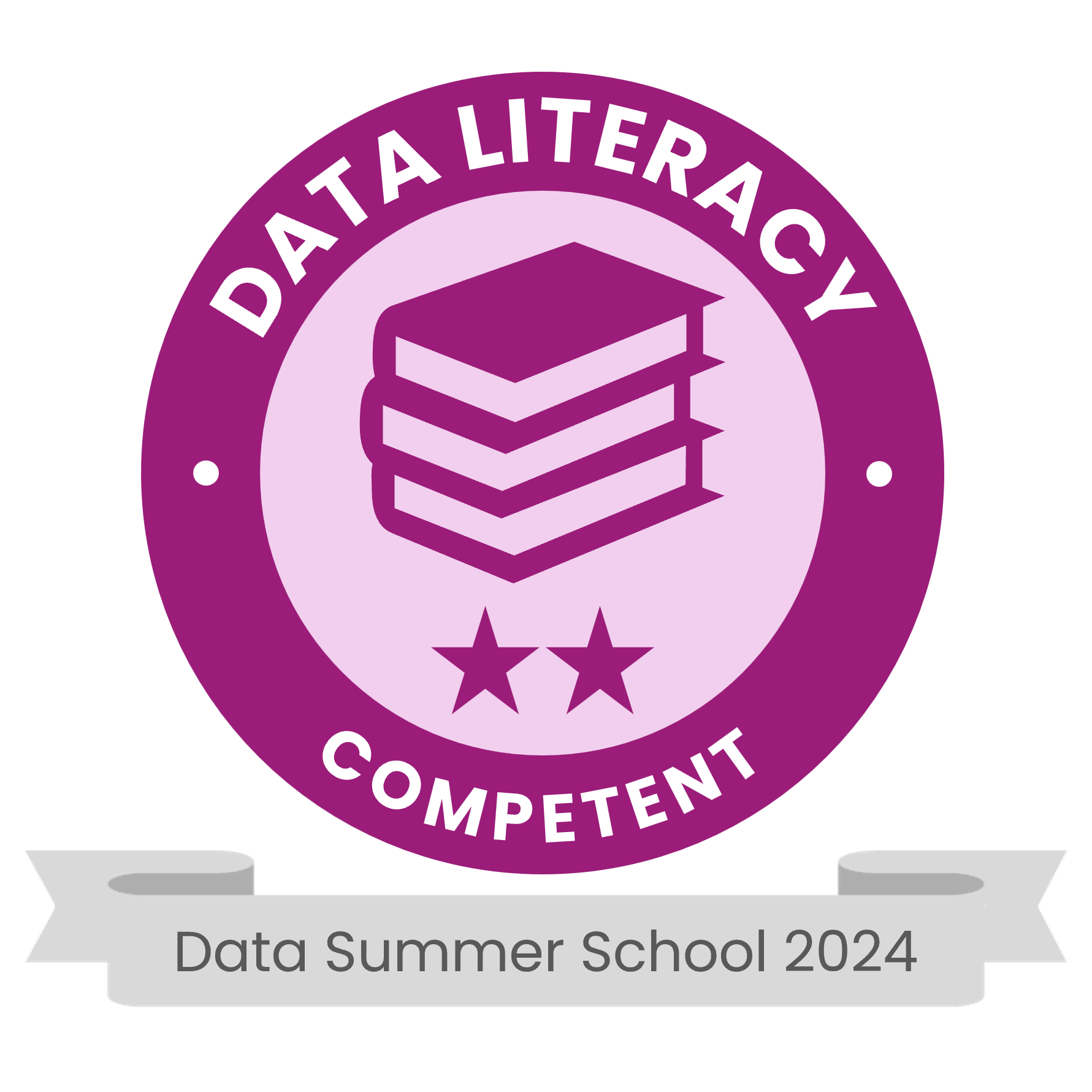 Data Literacy | Competent - Credly