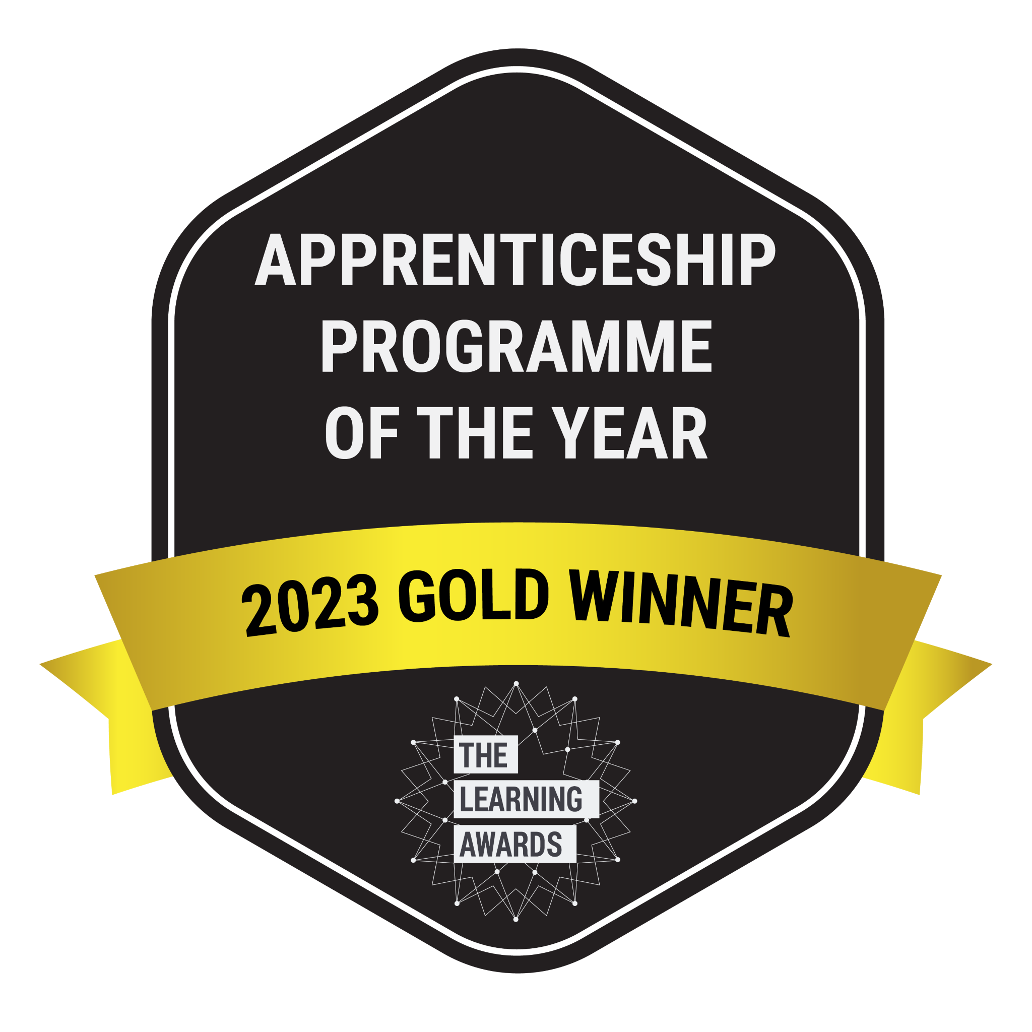 Apprenticeship Programme of the Year 2023 - Gold Winner - Credly