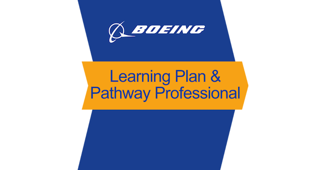 Learning Plan & Pathway Professional - Credly