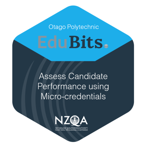 Assess Candidate Performance using Micro-Credentials - Credly